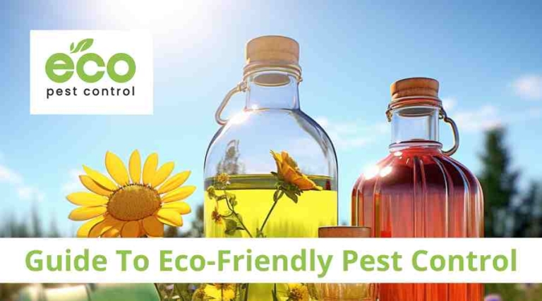 Homeowner's Full Guide to Eco-Friendly Pest Control 2024